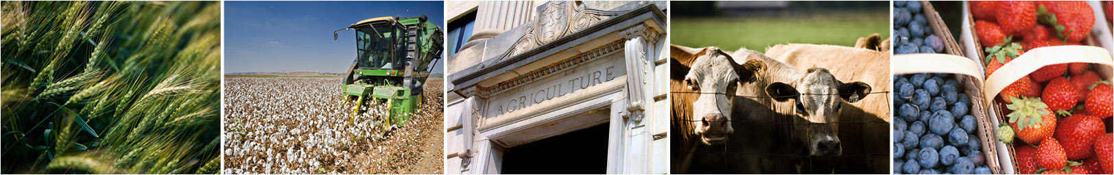 Internal Audit - Our Team | NC Agriculture