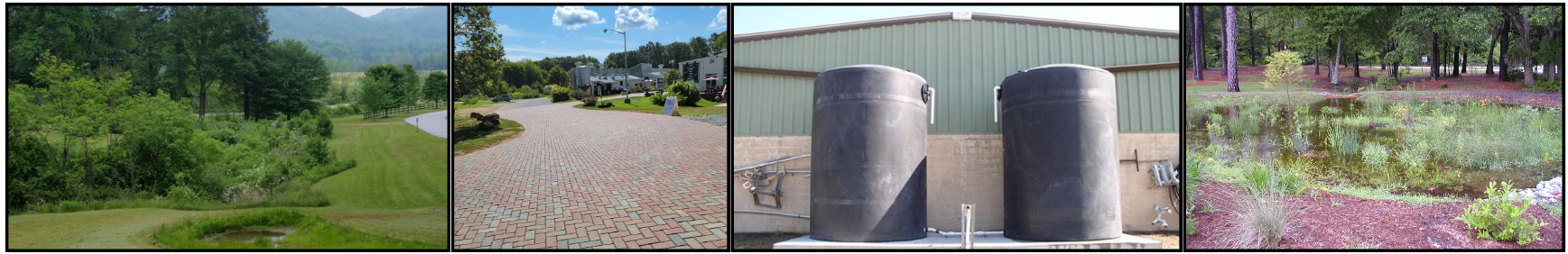 Soil & Water - Critical Area Planting | NC Agriculture