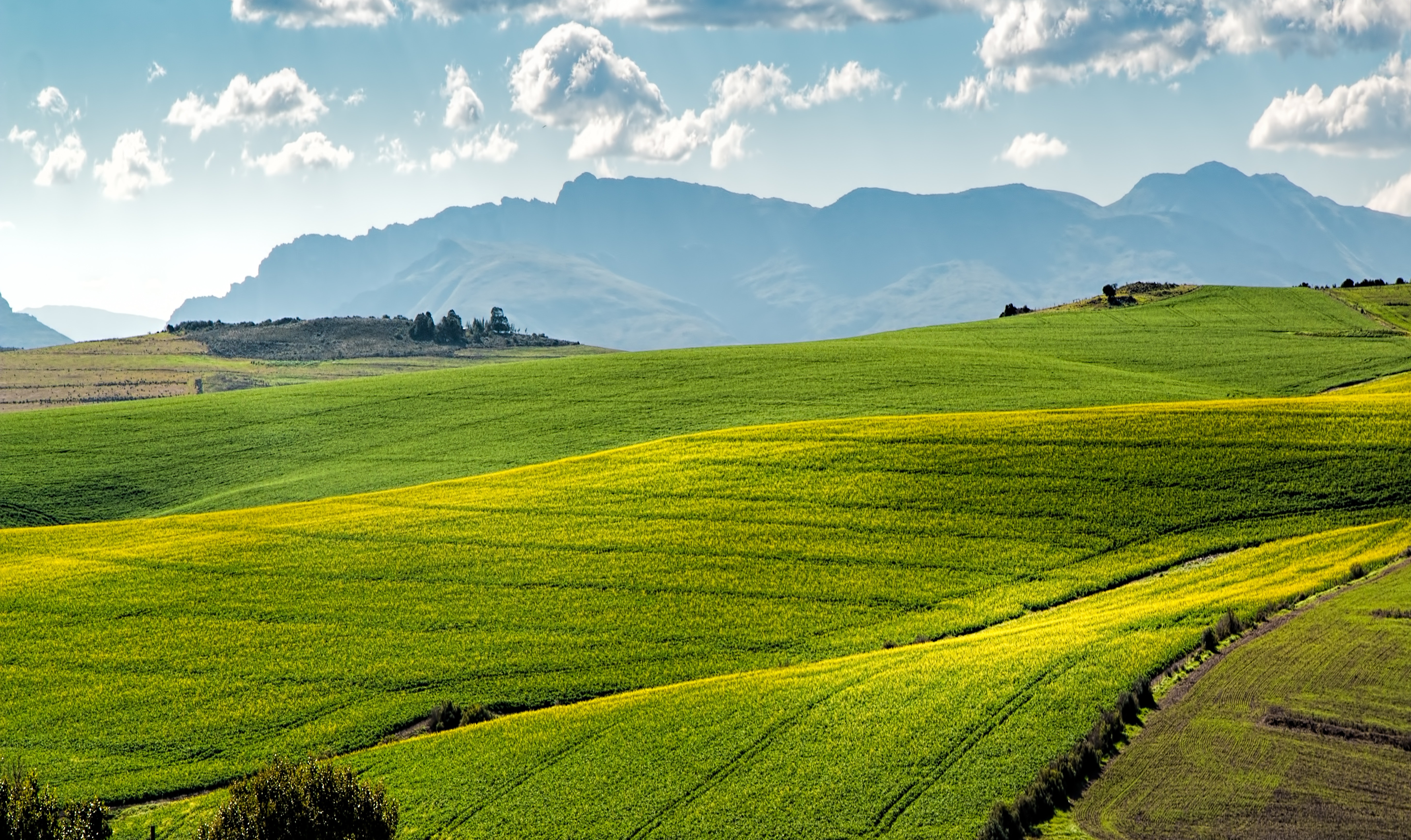 Environment Programs | NC Agriculture