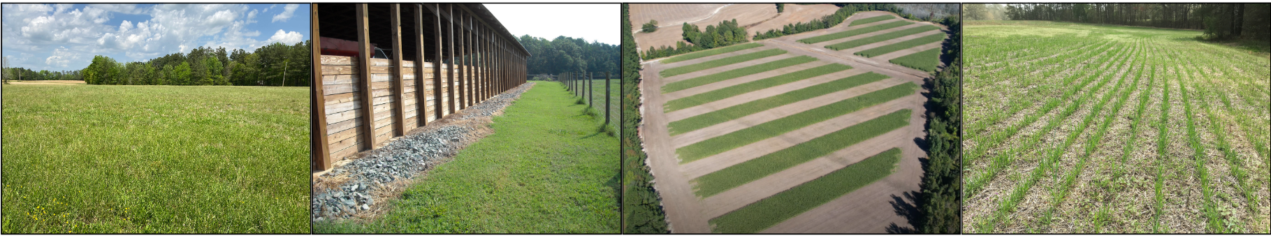 Soil & Water - Cropland Conversion | NC Agriculture