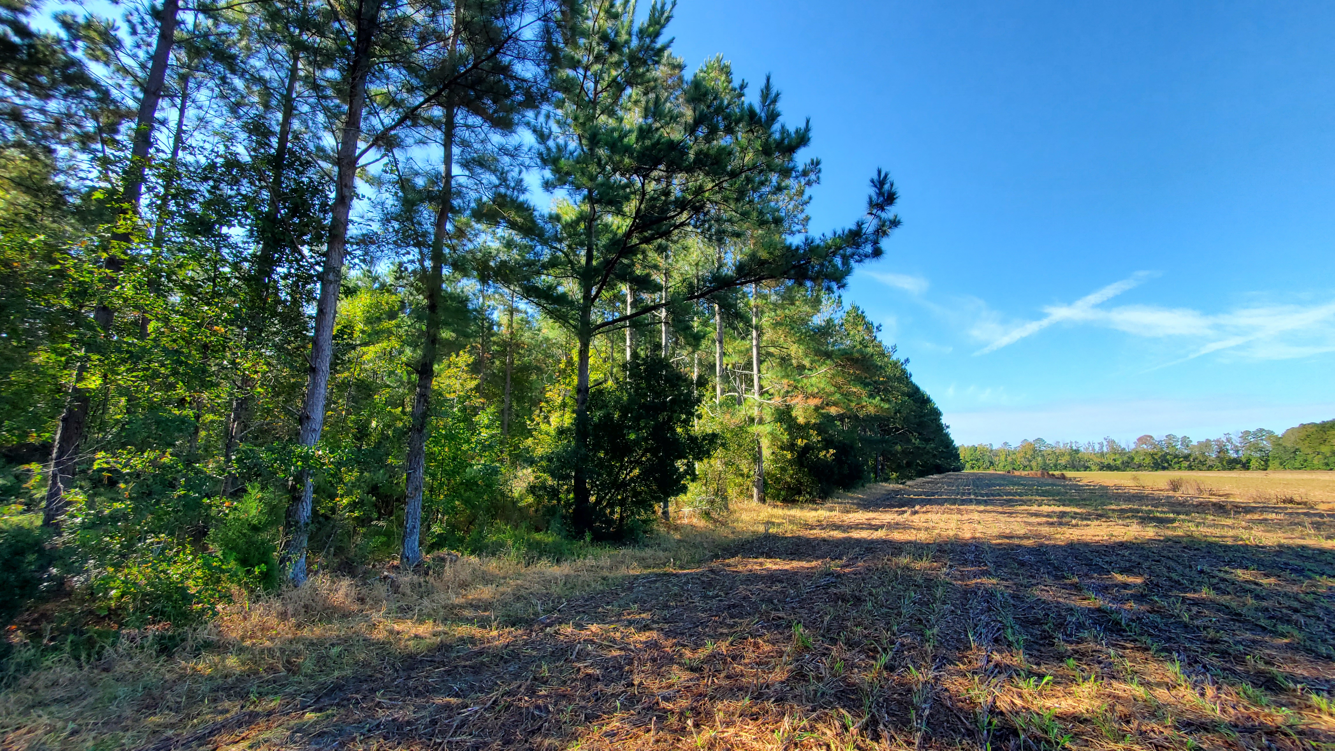 Soil & Water - Conservation Reserve Enhancement Program (CREP) | NC ...