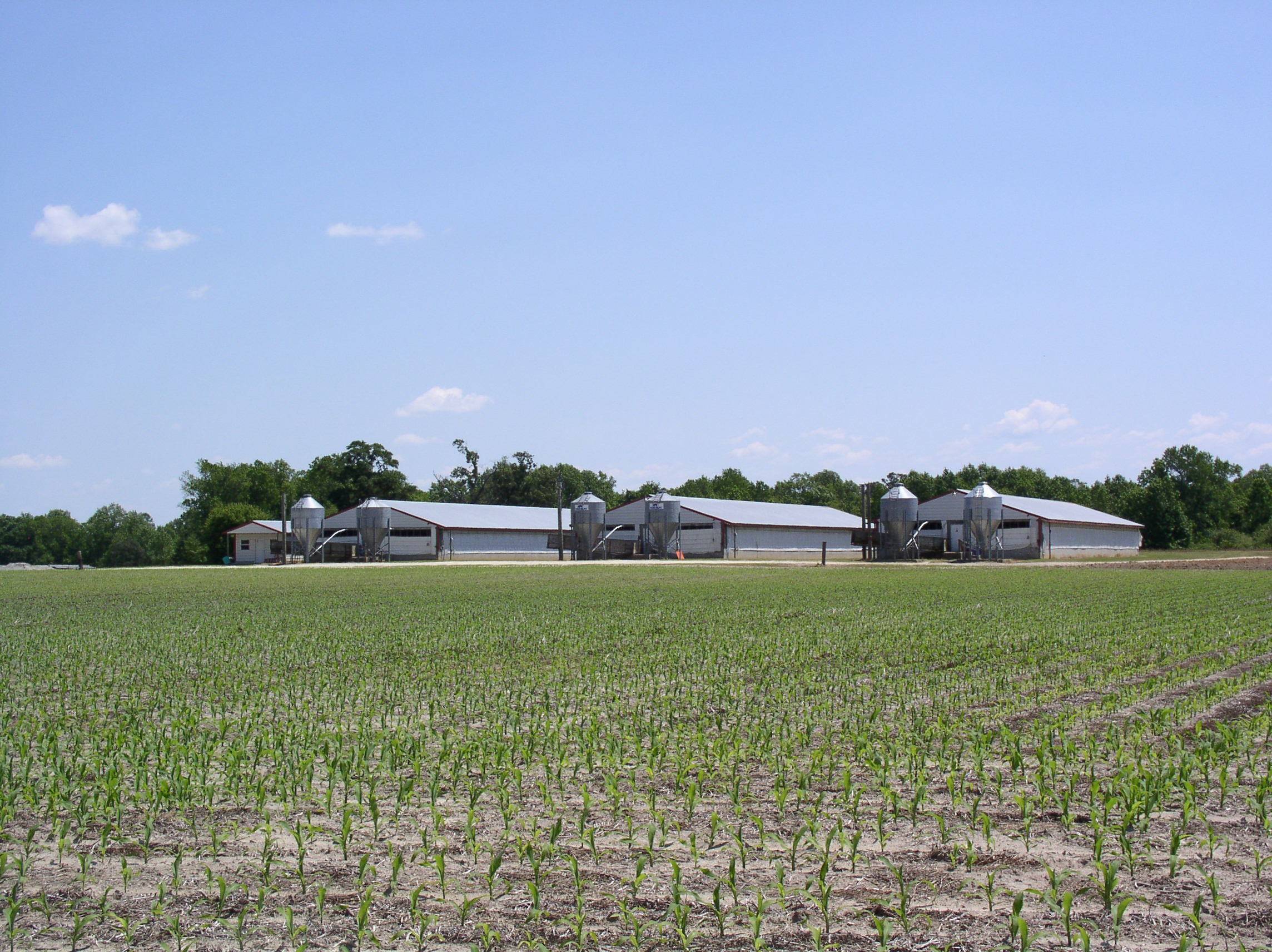 NC Agricultural Finance Authority - Programs | NC Agriculture