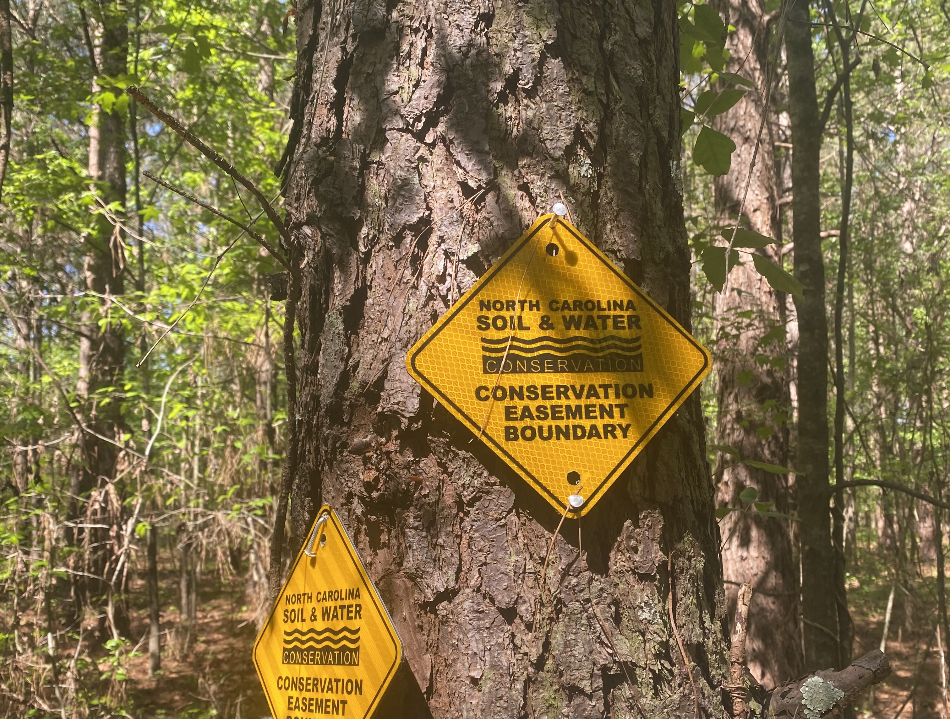 Soil & Water - CREP Conservation Easements | NC Agriculture