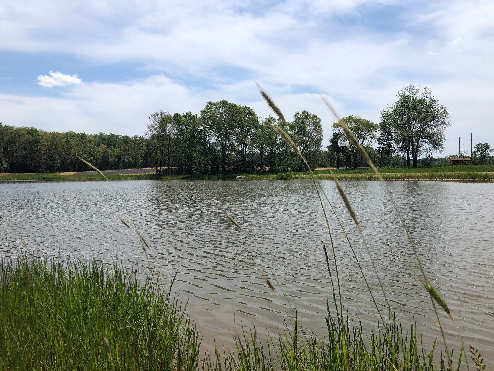 Soil & Water - CCAP | NC Agriculture