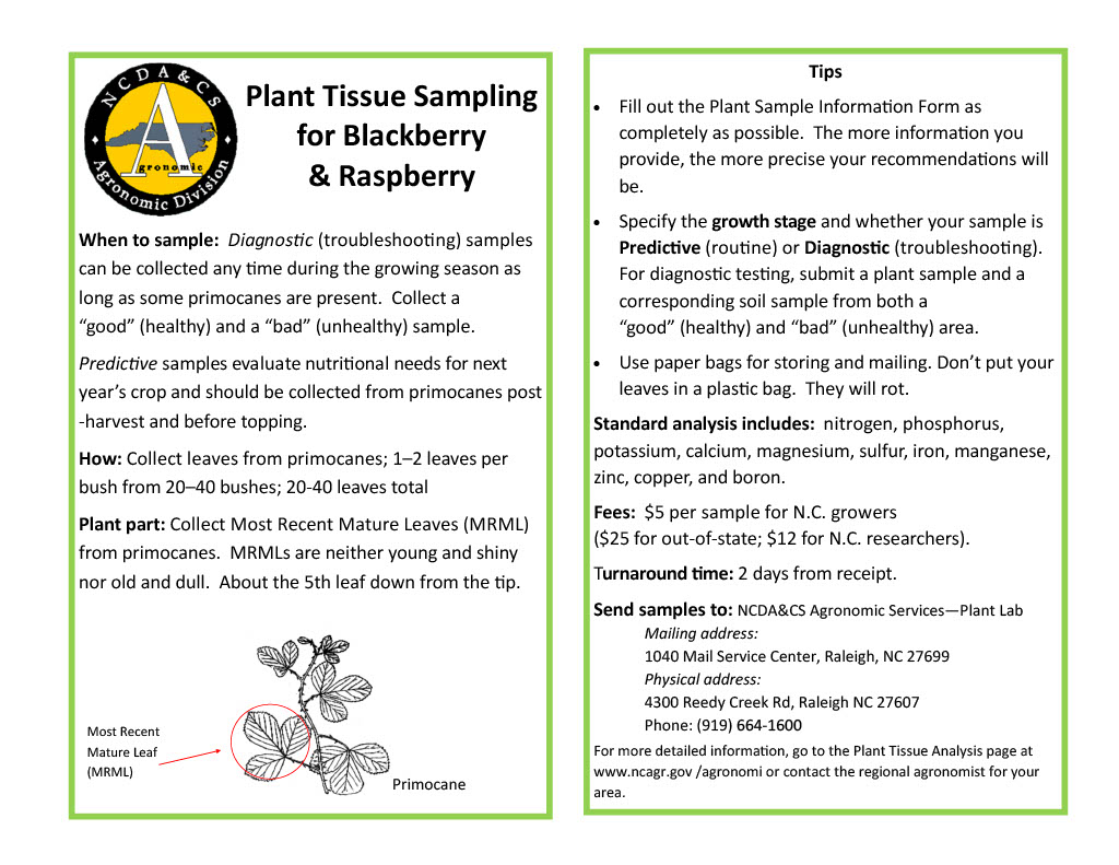 Agronomic Services- Plant Tissue: Collect Samples | NC Agriculture