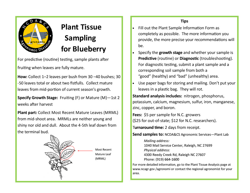 Agronomic Services- Plant Tissue: Collect Samples | NC Agriculture