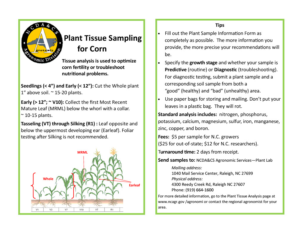 Agronomic Services- Plant Tissue: Collect Samples | NC Agriculture