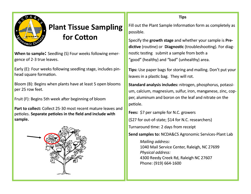 Agronomic Services- Plant Tissue: Collect Samples | NC Agriculture