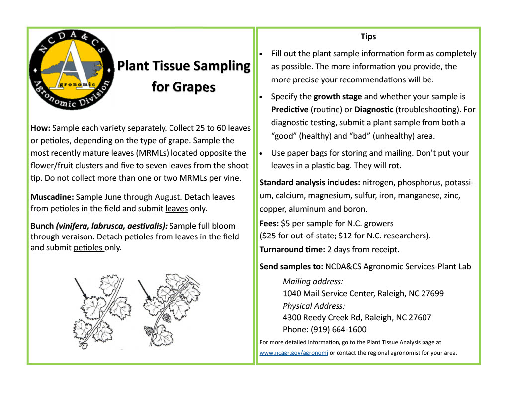 Agronomic Services- Plant Tissue: Collect Samples | NC Agriculture