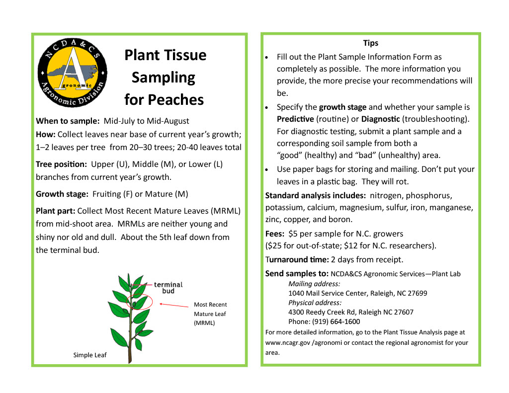 Agronomic Services- Plant Tissue: Collect Samples | NC Agriculture