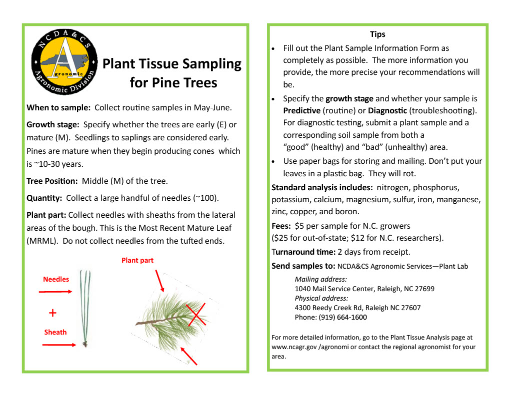 Agronomic Services- Plant Tissue: Collect Samples | NC Agriculture