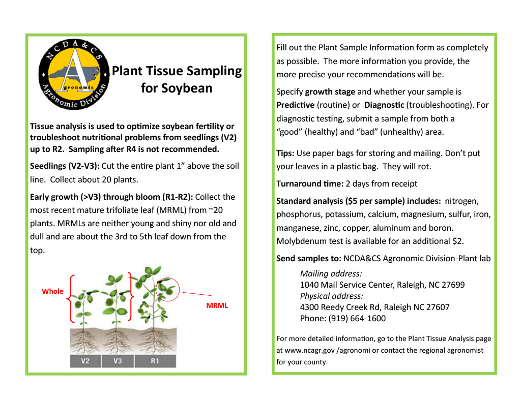 Agronomic Services- Plant Tissue: Collect Samples | NC Agriculture