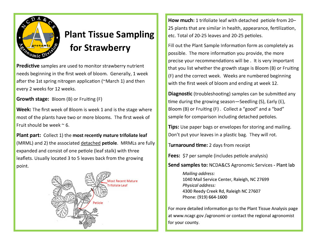 Agronomic Services- Plant Tissue: Collect Samples | NC Agriculture