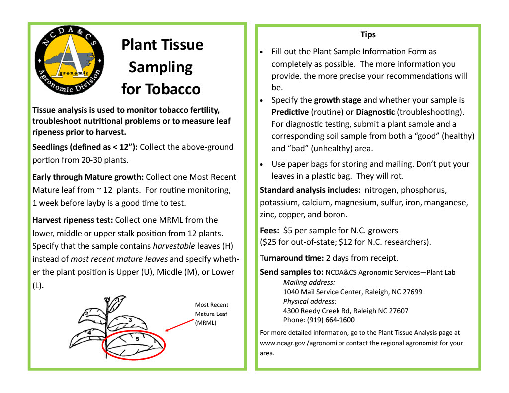 Agronomic Services- Plant Tissue: Collect Samples | NC Agriculture