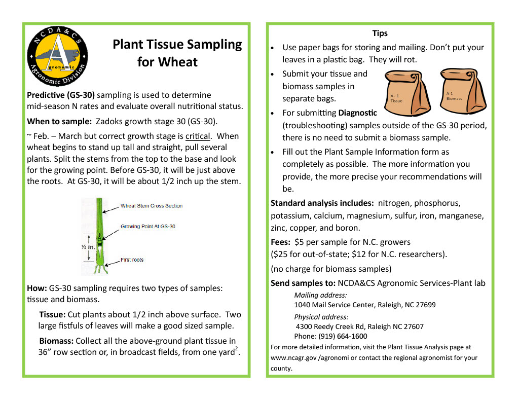 Agronomic Services- Plant Tissue: Collect Samples | NC Agriculture