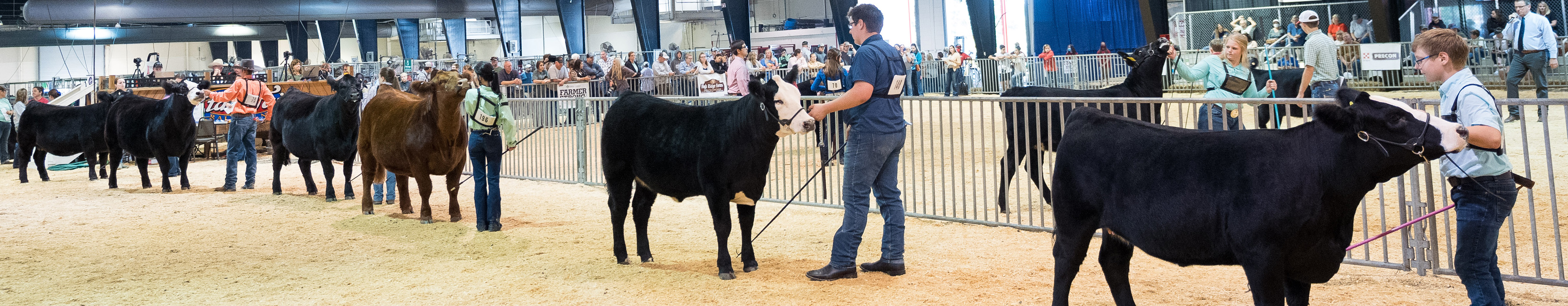 N.C. State Fair Livestock | NC Agriculture