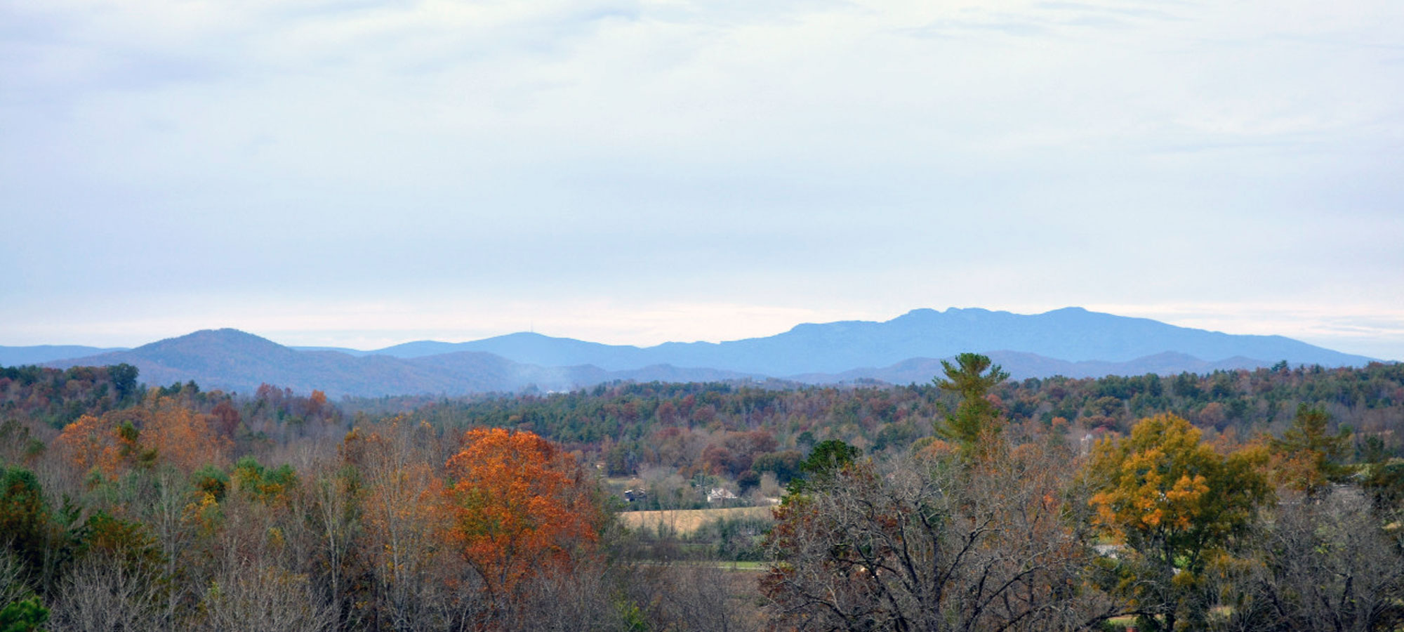 N.C. Forest Service - Recreation at Tuttle Educational State Forest ...