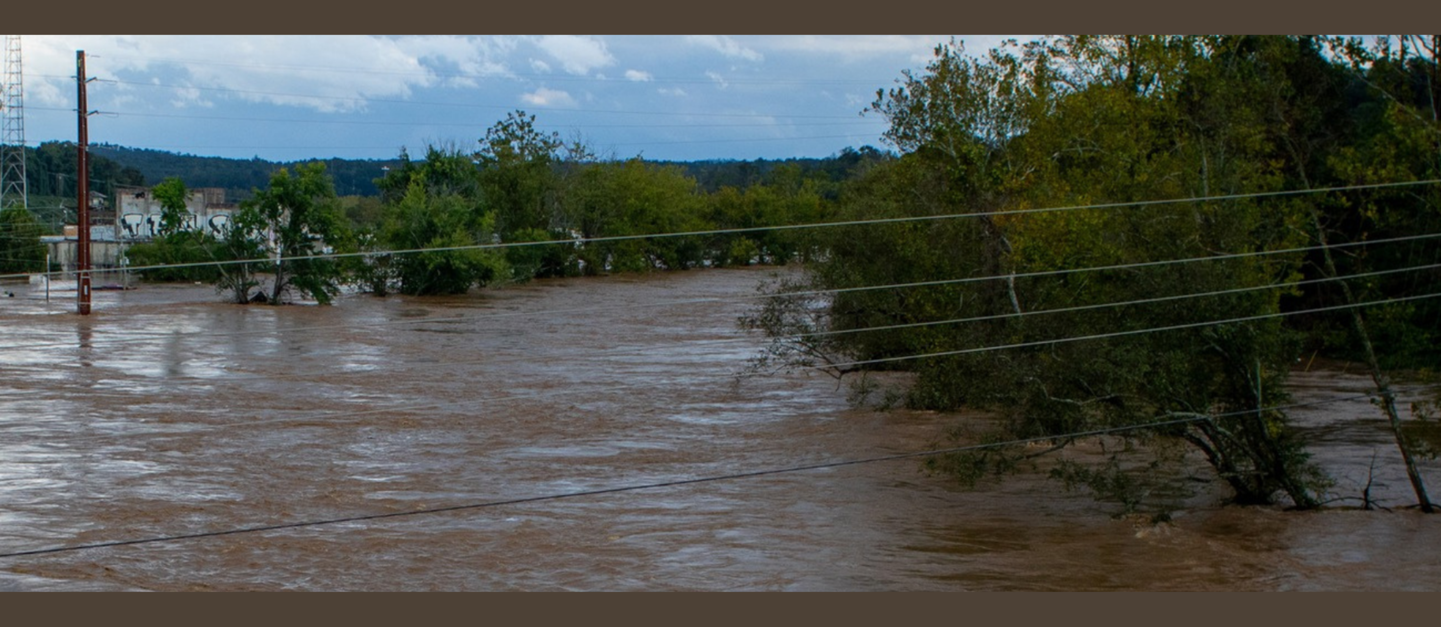 USDA Block Grant Disaster Relief | NC Agriculture
