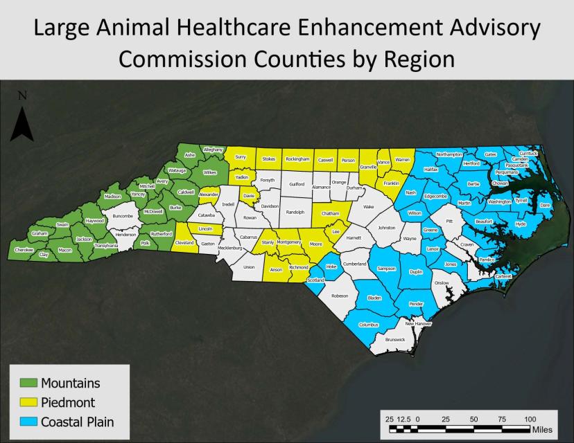 Large animal health enhancement grants awarded to 11 veterinary ...