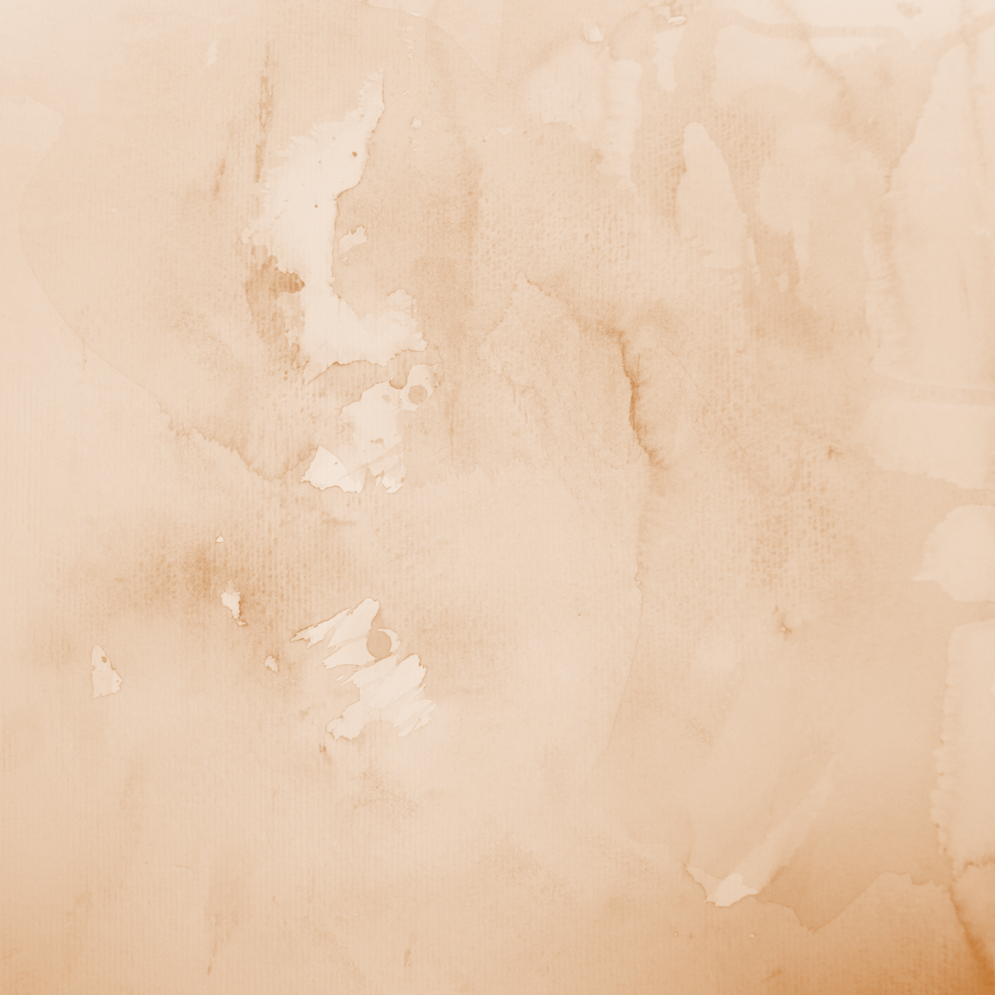 Volunteer Program at OSA | NC Archaeology