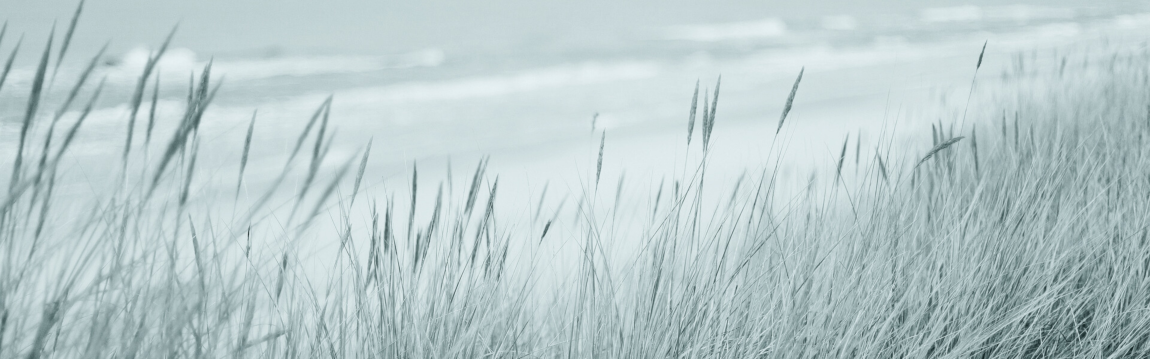 Outer Coastal Plain | NC Archaeology