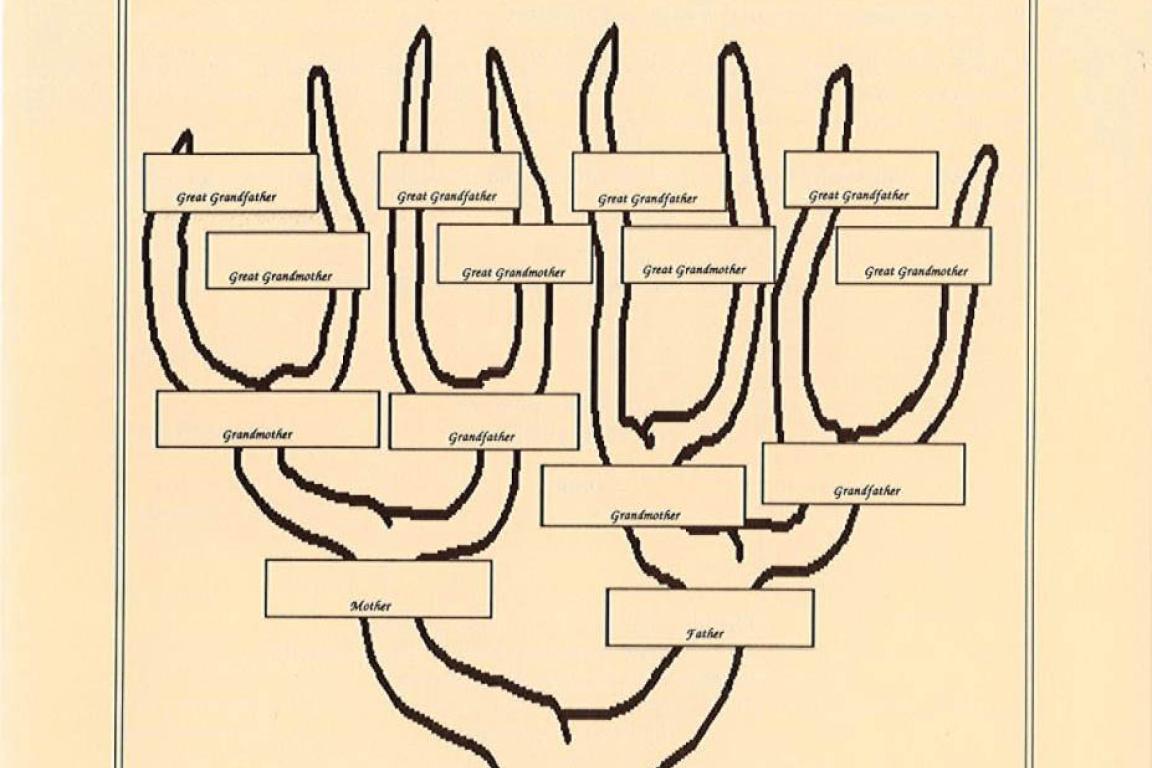Home-Bound History | Cape Fear Museum