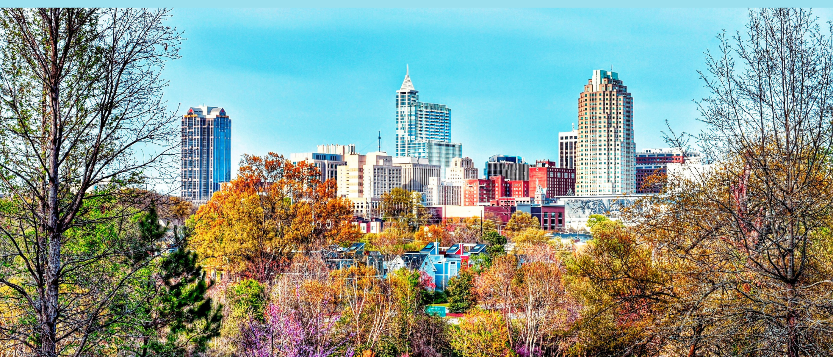 Raleigh and The Triangle Area | NC DAC