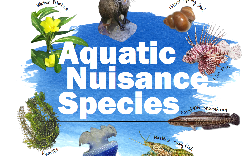 NC Aquatic Nuisance Species Management Plan Coordination | APNEP
