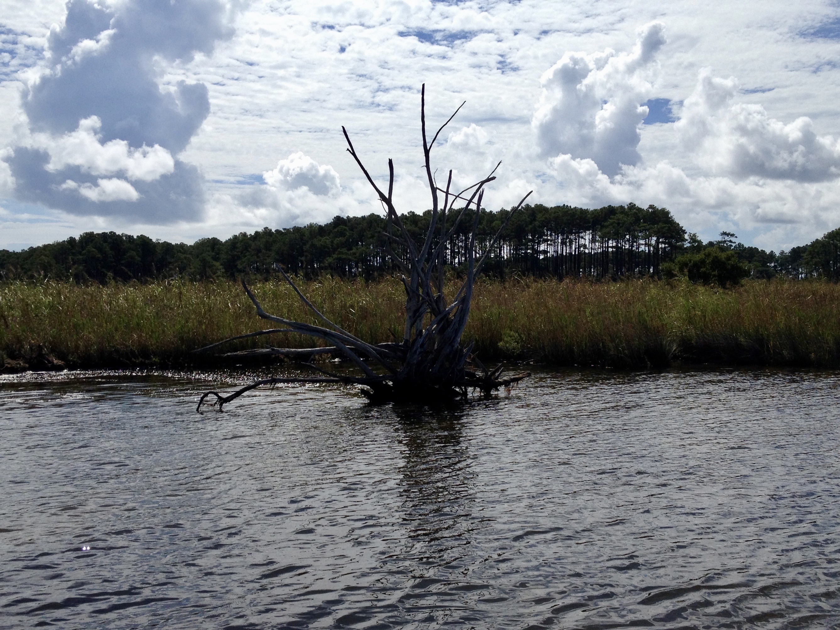 Air Resources | APNEP