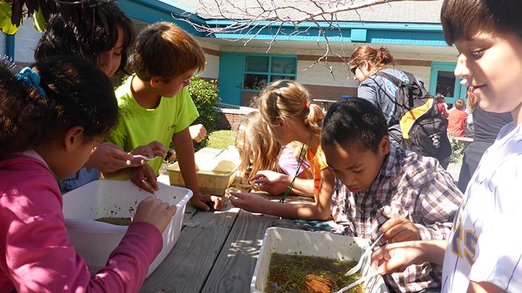 Classroom Visits and In-School Field Trips | NC EE