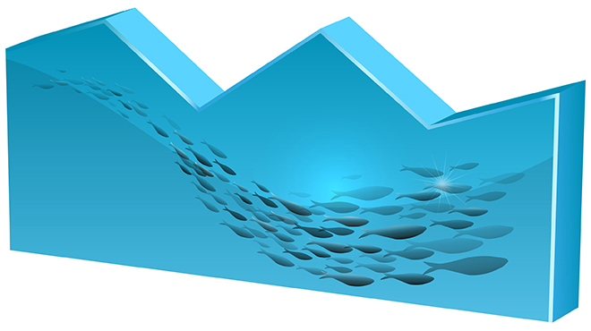 Division Begins New, In-Person Peer Review Process for Stock ...