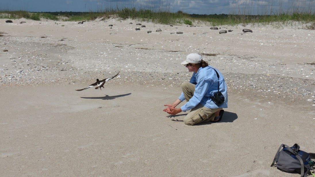 Research Needs | NC DEQ