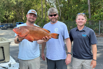 New State Record Red Hind | NC DEQ