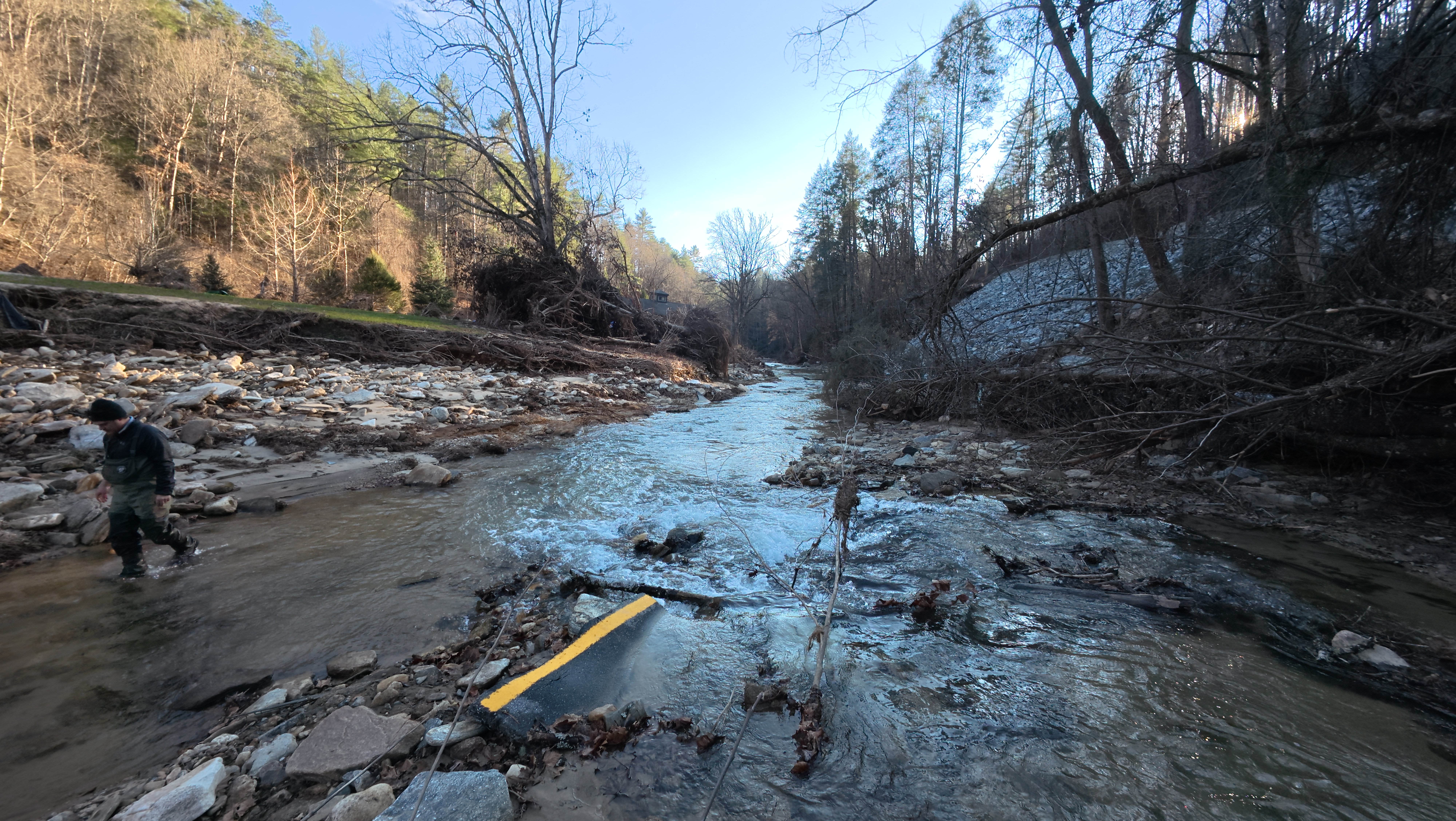 DWR biologists release preliminary analysis of Hurricane Helene’s impacts to insects in ...