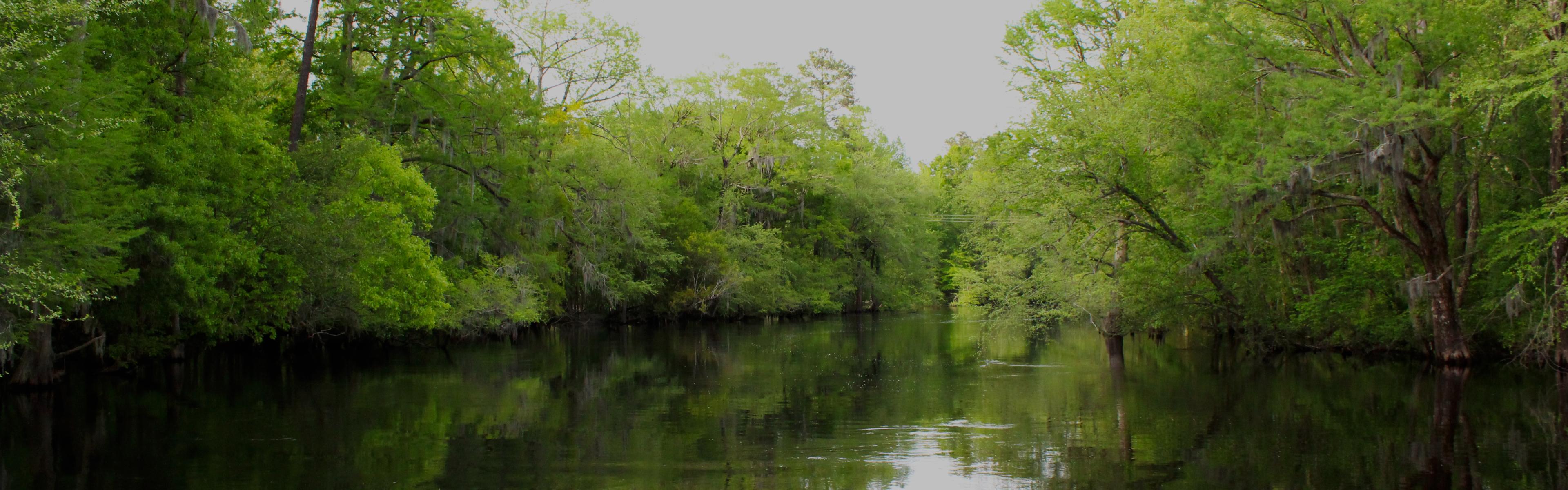 Lumber River Regional Resilience Portfolio | NC DEQ