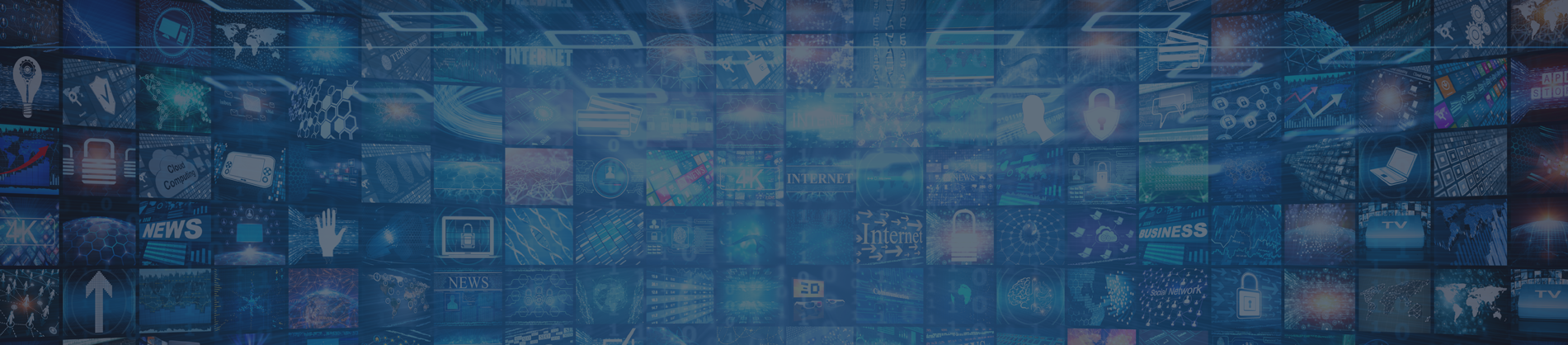 Language Access Plan | NCDIT