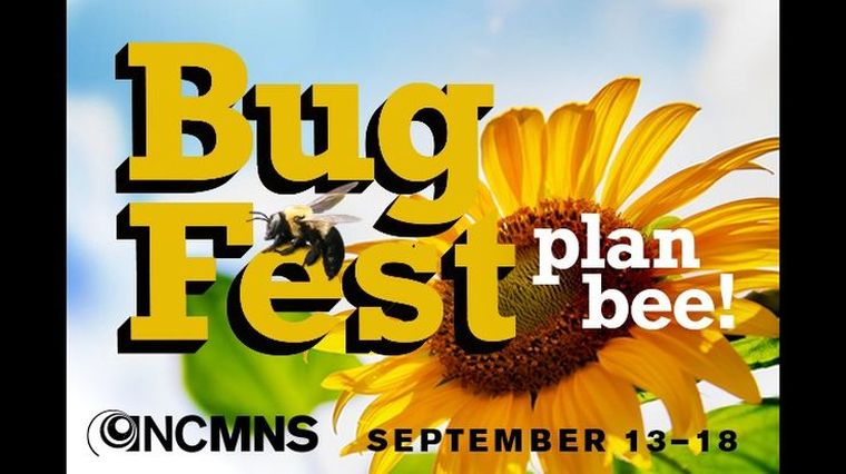 NC Museum’s ‘BugFest 2021: Plan Bee’ takes place virtually and outdoors ...