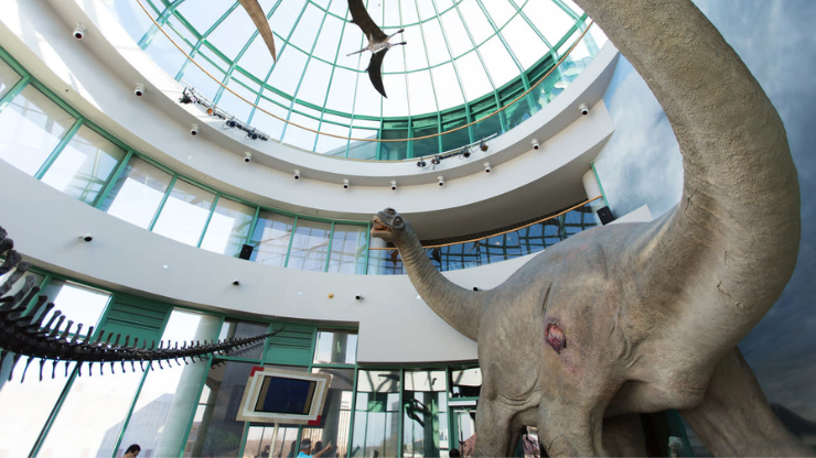 Once You Arrive | NC DNCR