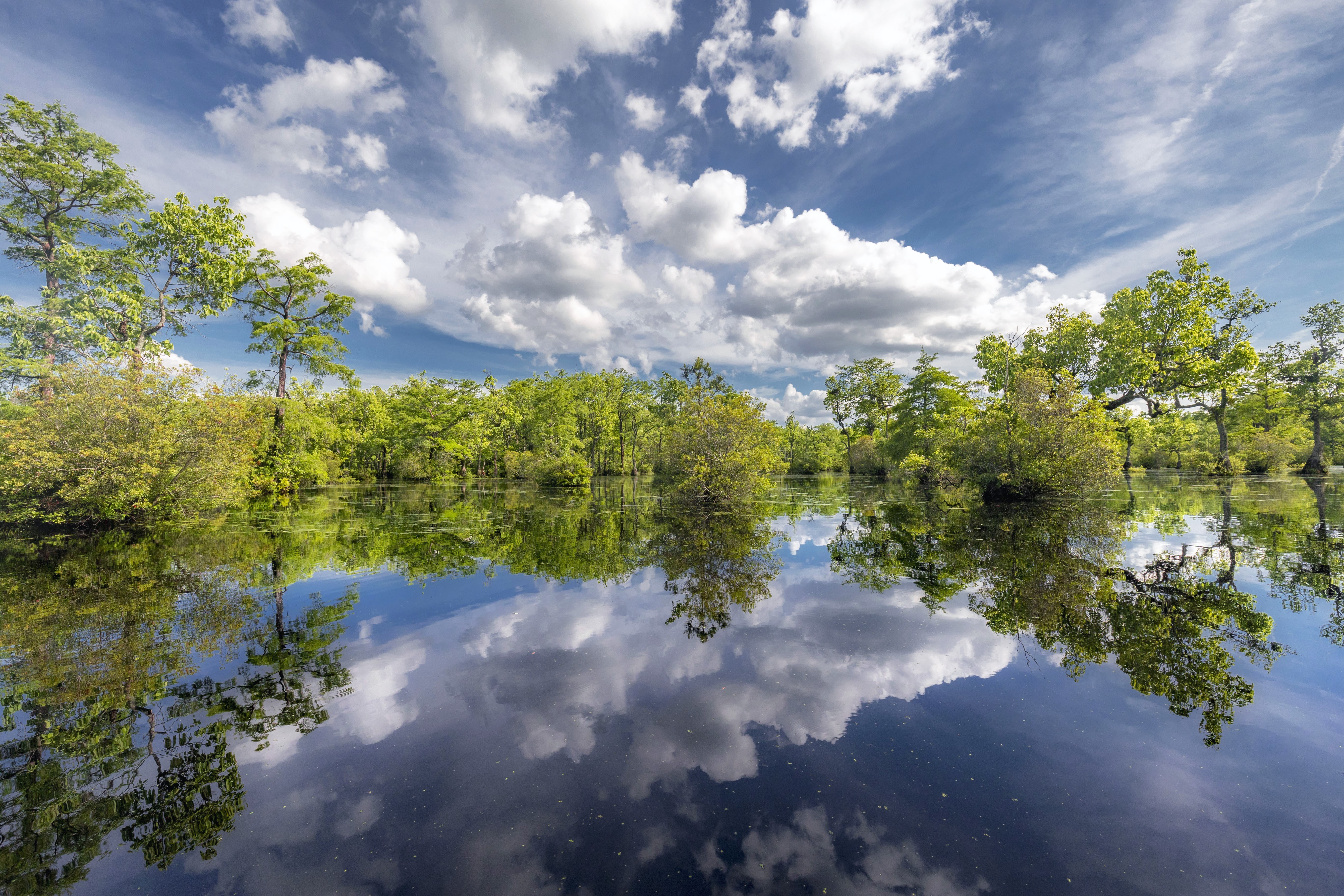 Discover North Carolina's Hidden Gems: A Guide to the Least Visited ...