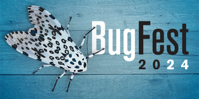 Butterflies, moths take over natural sciences museum at BugFest Sept ...