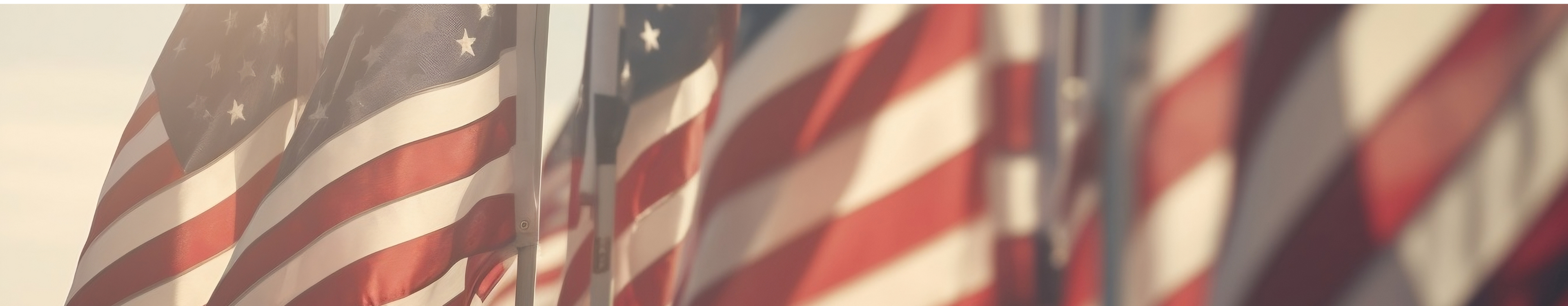 Veterans Day with DNCR | NC DNCR