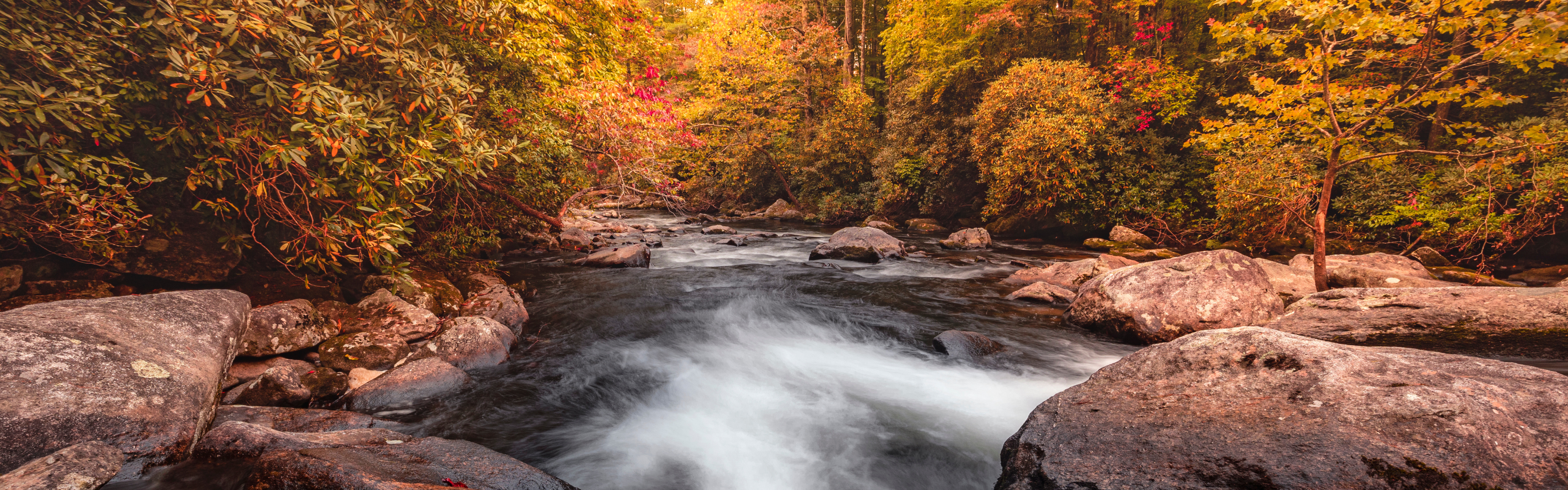 Fall in One Place | NC DNCR