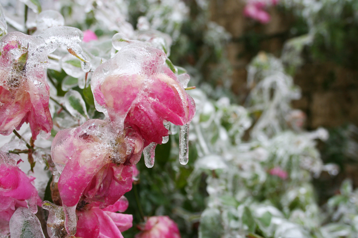 What Does El Niño Mean For North Carolina This Winter Nc Dps