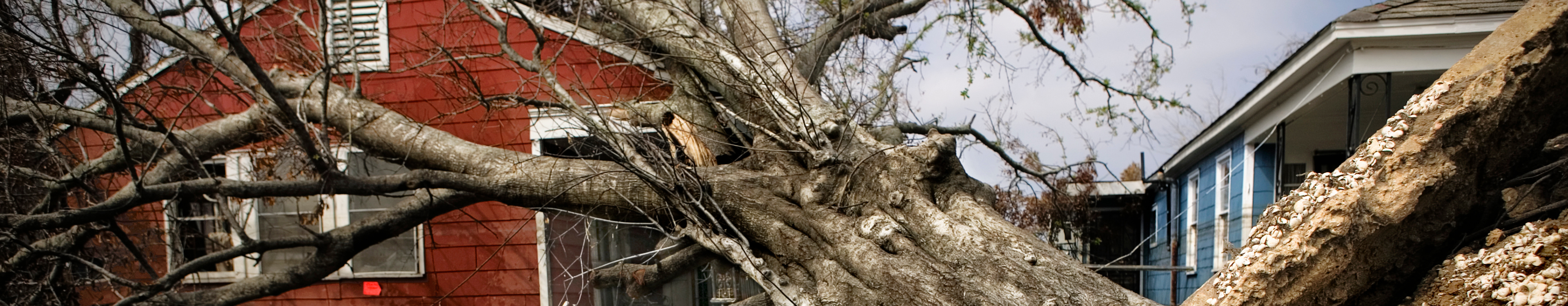 Hurricane Preparedness: Are you ready? | NC HPO