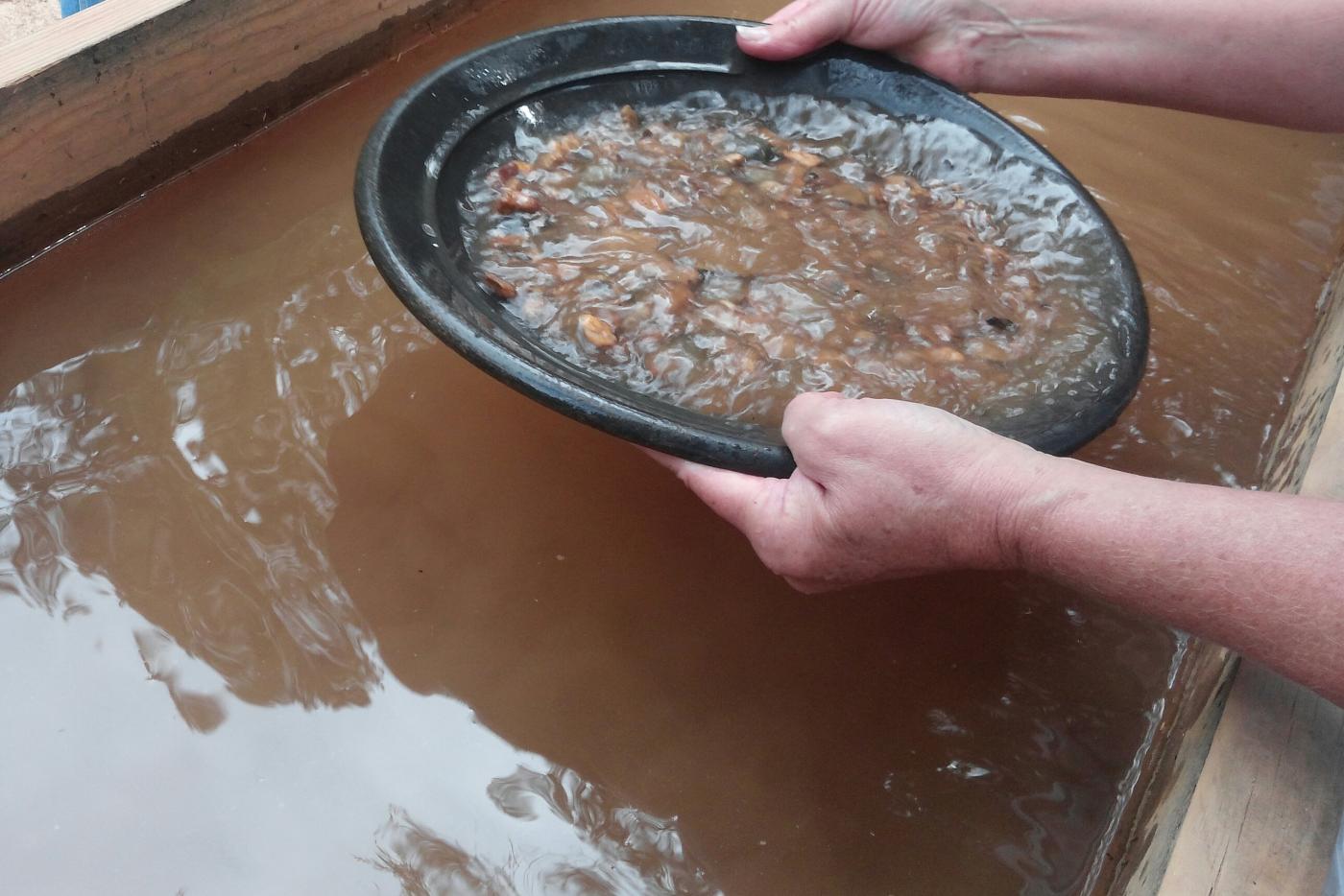 Reed Gold Mine Gold Panning Season Opens April 1 | NC Historic Sites
