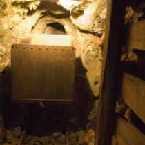 Reed Gold Mine | NC Historic Sites