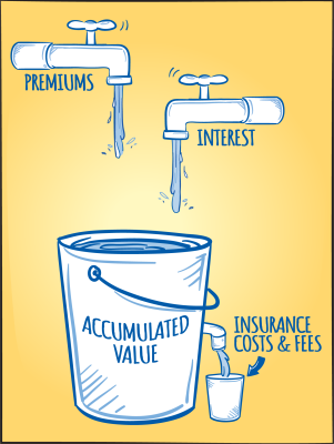 Universal Life Considerations | NC DOI