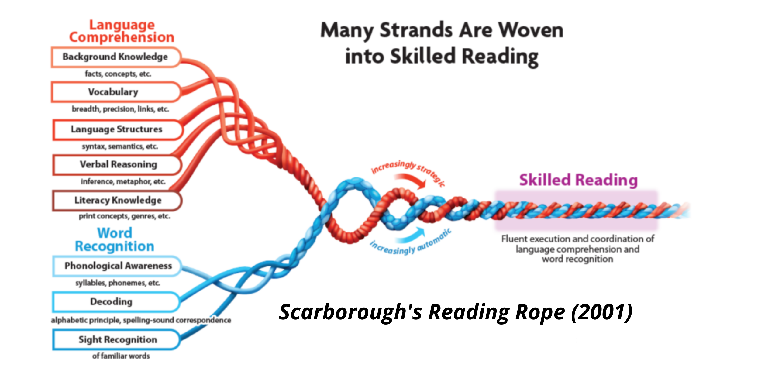 Science of Reading | NC DPI