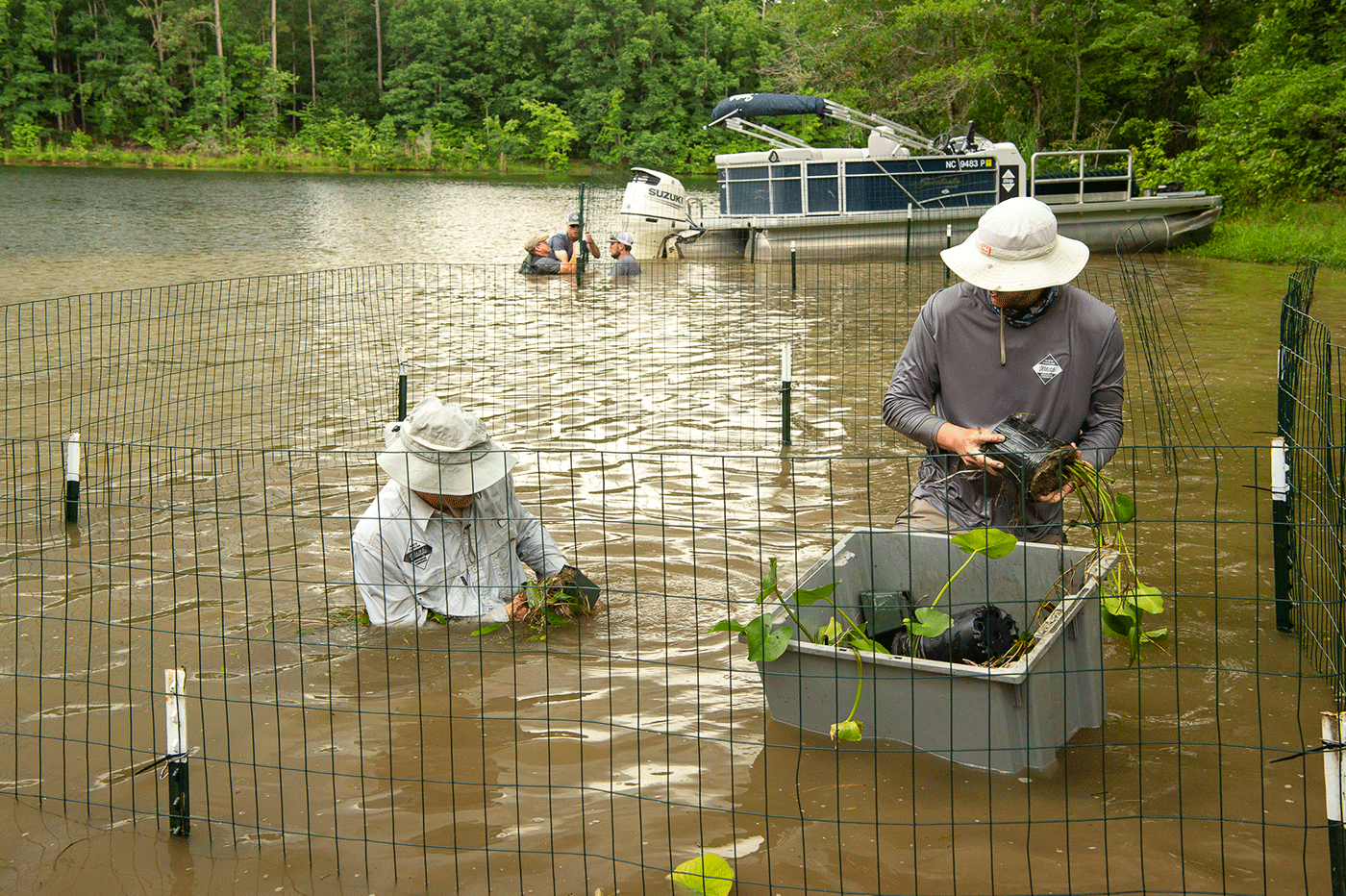 VOLUNTEERS NEEDED! | NC Wildlife