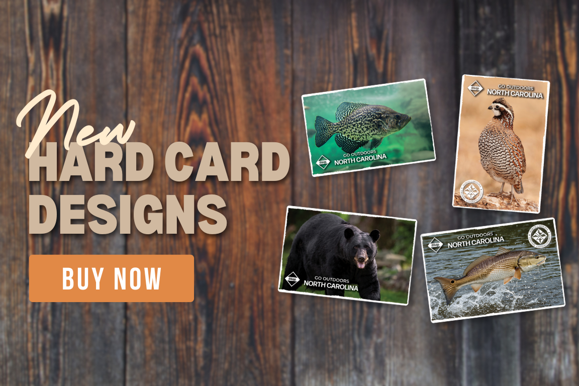 Home Page | NC Wildlife